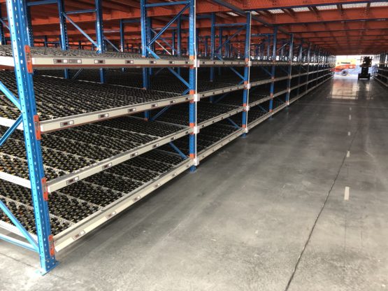 Roller Bed Type of CLS - Tellus Storage Systems